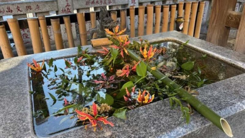 Tokyo Retro Vibes and Izakaya Tour in KOENJI - Dinner at a Cozy Izakaya