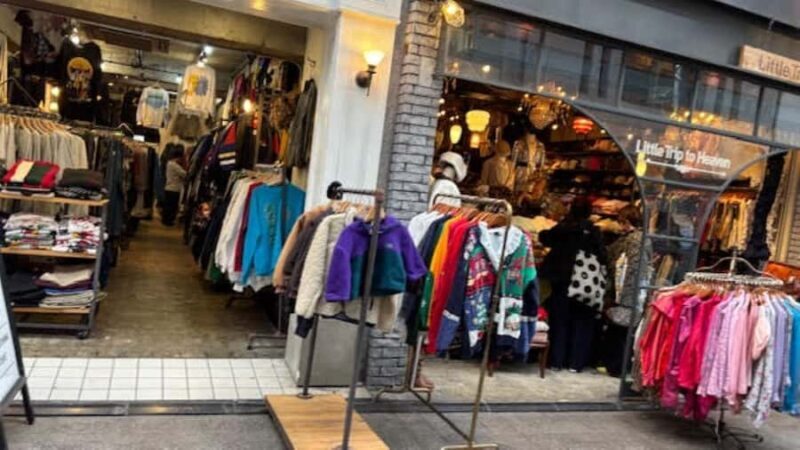 Tokyo Retro Vibes and Izakaya Tour in KOENJI - Duration, Group Size, and Practicalities