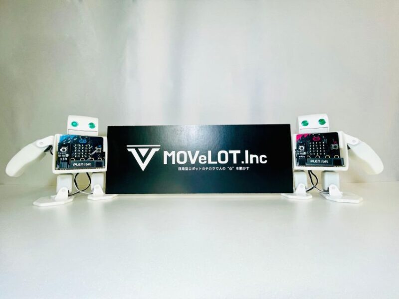 Tokyo: Robot Piloting Attraction Ticket - The Sum Up