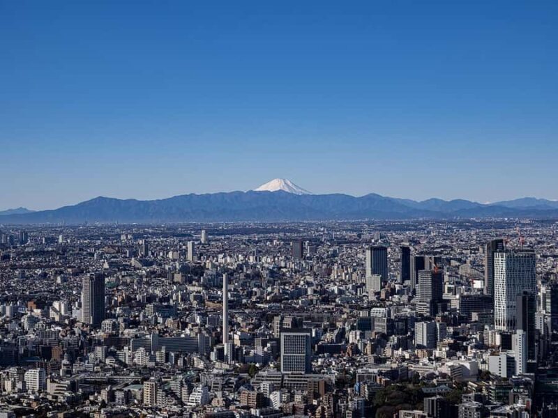 Tokyo: Roppongi Hills Observatory Ticket - Who Will Love This Tour?