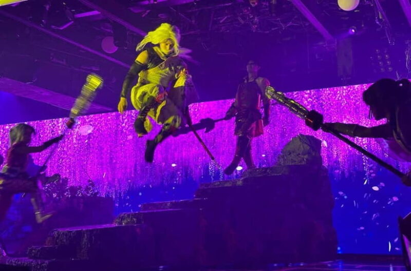 Tokyo: Samurai Restaurant Show Ticket with 2 Drinks - The Sum Up: Who Should Consider This Experience?