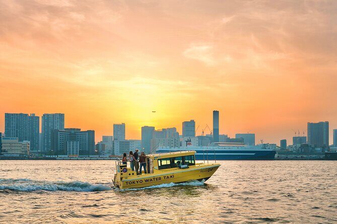 Tokyo: Seagull Feeding or Sunset Bay Cruise with Local Guide - An In-Depth Look at the Tokyo Bay Cruise