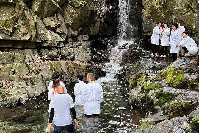 Tokyo Seasonal Peaks Discovery - The Itinerary in Detail