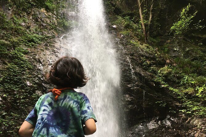 Tokyo Seasonal Peaks Discovery - Practicalities and Value