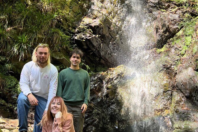 Tokyo Seasonal Peaks Discovery - Authentic Experiences and Personal Touches