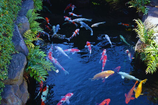 Tokyo: Senso-ji and surroundings - FAQ