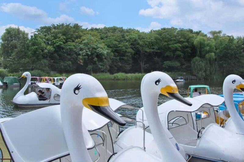 Tokyo: Shakujii Park Tour with Lacal Udon - Exploring Shakujii Park and Its Hidden Charms