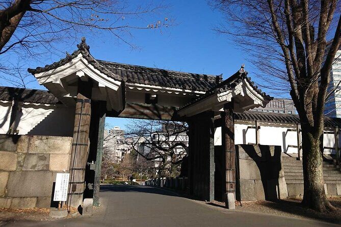 Tokyo Shiba Inu Walk | Picnic with Ginta at Edo Castle Gardens - A Closer Look at the Tour Experience