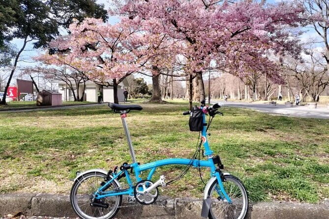 Tokyo Shibamata Retro Bike Tour with Lunch & Coffee - Starting Point: Ohanajaya Station