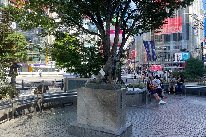 Tokyo Shibuya and Highlights Private Running Tour - Tokyo Shibuya and Highlights Private Running Tour — An Honest Look