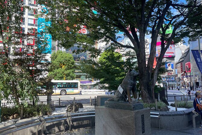 Tokyo Shibuya and Highlights Private Running Tour - Key Points