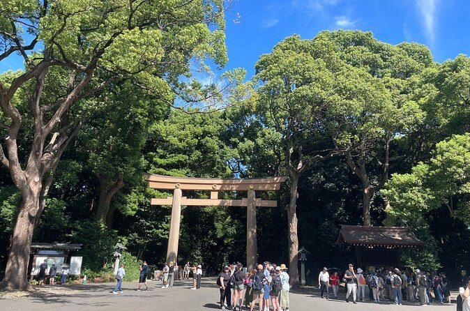 Tokyo Shibuya and Highlights Private Running Tour - The Sum Up: A Fun, Fast-Paced Way to See Tokyo