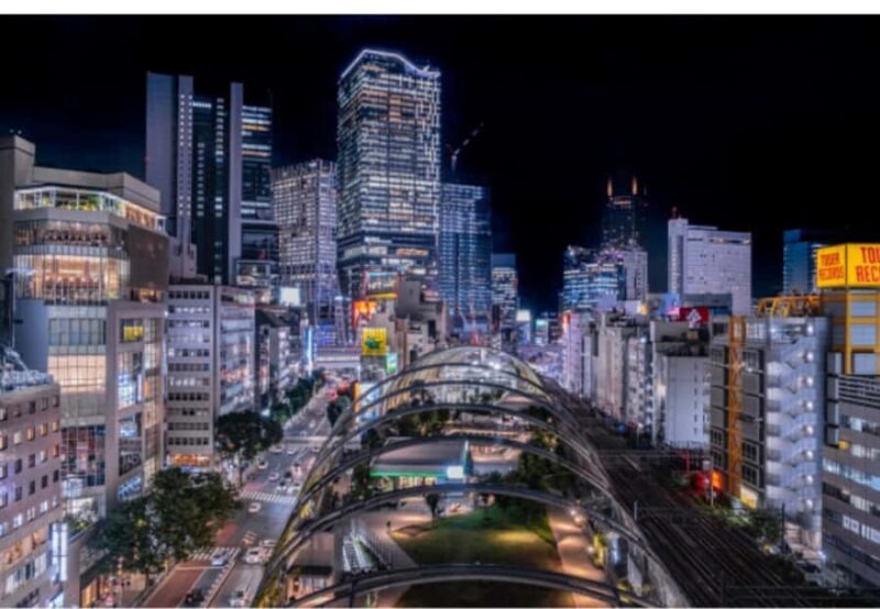 Tokyo: Shibuya and Shinjuku Night Private Walking Tour - Hidden Gems: Golden Gai and Hanazono Shrine