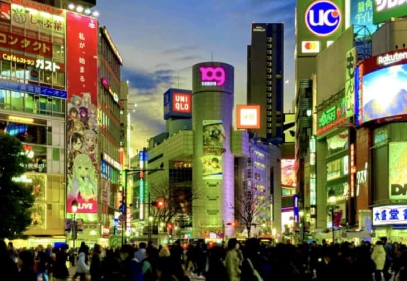 Tokyo: Shibuya and Shinjuku Night Private Walking Tour - Practical Details and Overall Value
