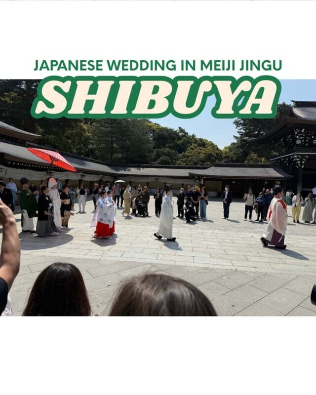 Tokyo: Shibuya, Cat Street, Harajuku & Meiji Walking Tour - Key Points