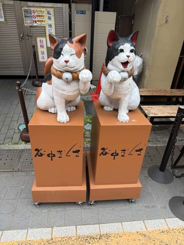 Tokyo: Shibuya, Cat Street, Harajuku & Meiji Walking Tour - Final Thoughts