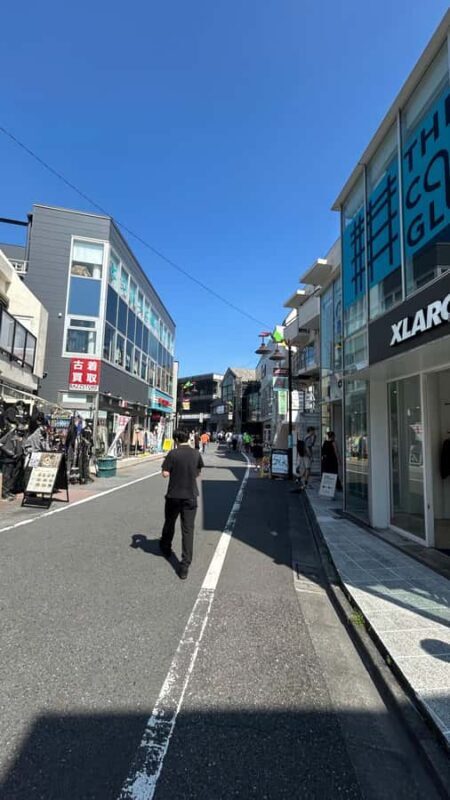 Tokyo: Shibuya, Harajuku & Meiji Shrine Walking Tour - Practicalities and Value