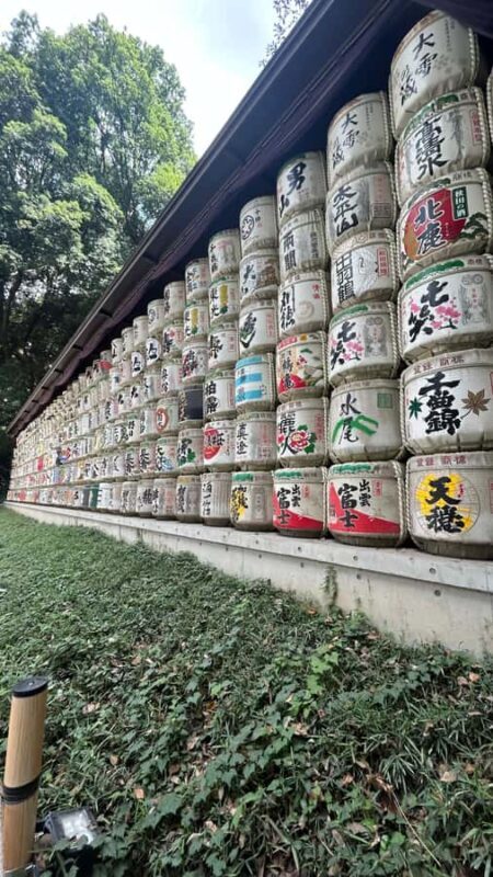 Tokyo: Shibuya, Harajuku & Meiji Shrine Walking Tour - Final thoughts: Who’s this tour best for?