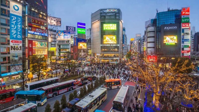 Tokyo: Shibuya Vibes - Walking Tour - A Closer Look at the Shibuya Vibes Walking Tour