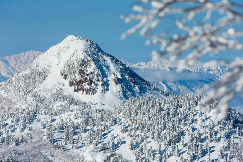 Tokyo: Shiga Kogen Ski Resort day Tour With English driver - Key Points