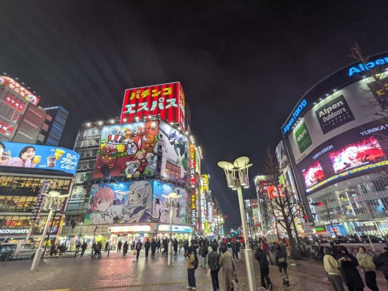 Tokyo Shinjuku Customized Tour: See and Walk Around Shinjuku - An In-Depth Look at the Shinjuku Experience