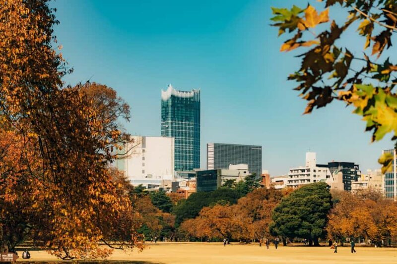 Tokyo: Shinjuku Gyoen Autumn Leaves Stroll (Entry Included) - A Detailed Look at Shinjuku Gyoen Autumn Leaves Tour