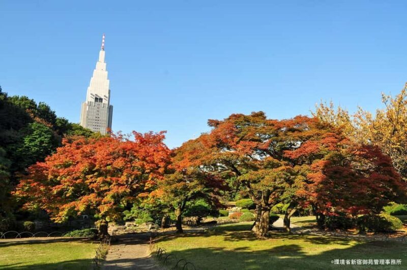 Tokyo: Shinjuku Gyoen Autumn Leaves Stroll (Entry Included) - FAQ