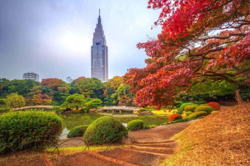 Tokyo: Shinjuku Gyoen, Meiji Shrine, and Shibuya Tour - Key Points