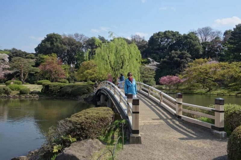 Tokyo: Shinjuku Gyoen National Garden Guided Walking Tour - The Sum Up
