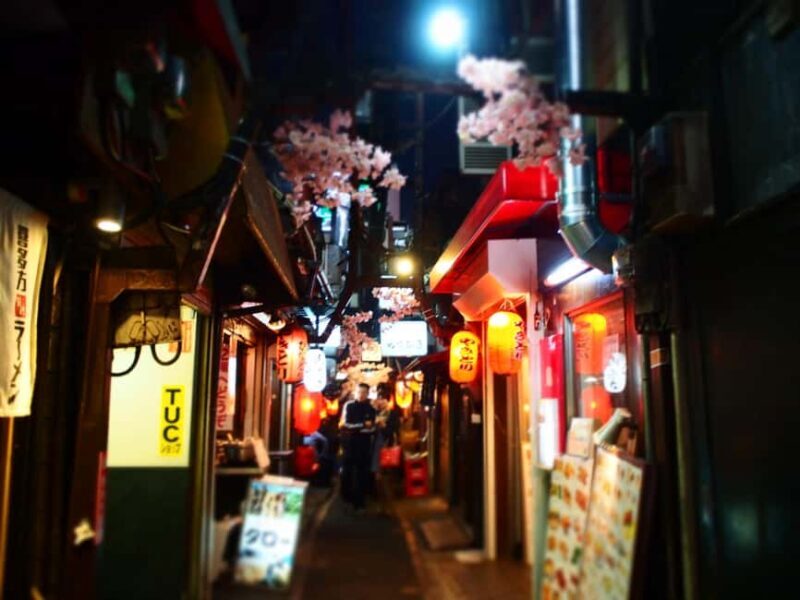 Tokyo: Shinjuku Izakaya Night Hopping Tour - Key Points