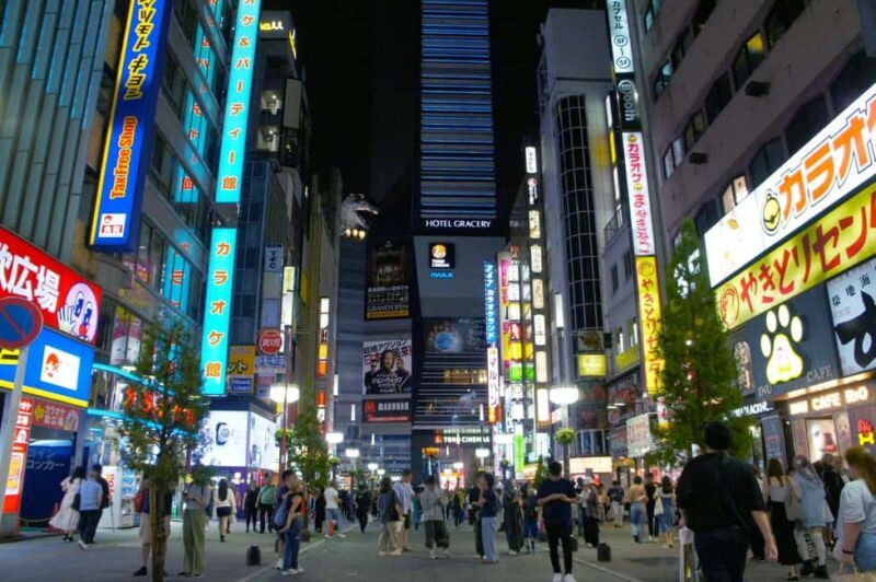 Tokyo: Shinjuku Izakaya Night Hopping Tour - Exploring Tokyo’s Nightlife: What This Tour Offers
