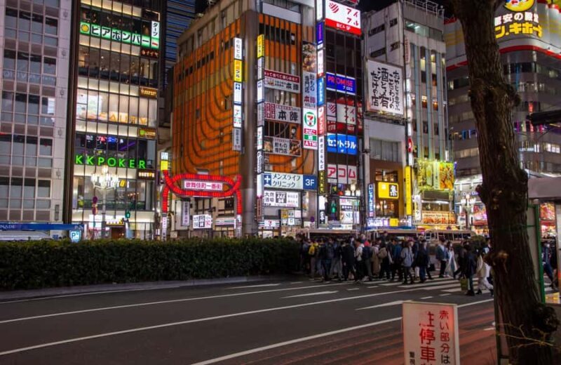 Tokyo Shinjuku Kabukicho Day Tour - An Honest Look at the Shinjuku Kabukicho Day Tour