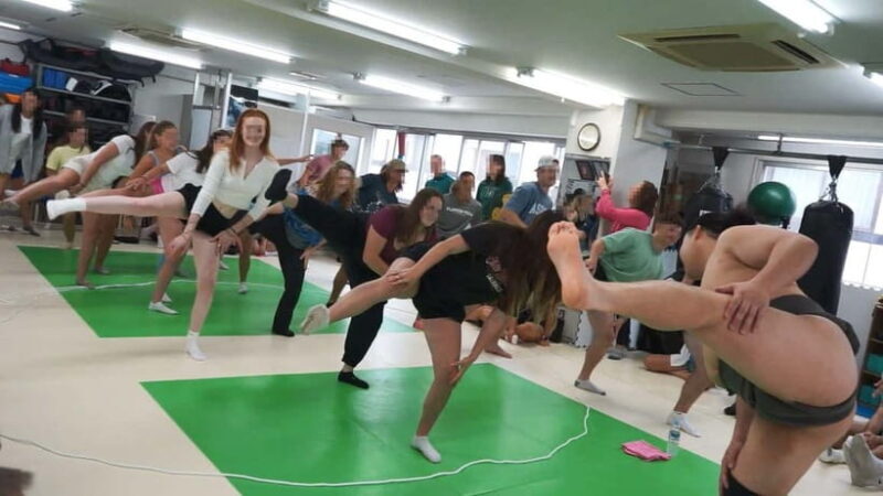 Tokyo Shinjuku: Sanctuary Grand Sumo Experience For Group - Getting Up Close with Tokyo’s Sumo Culture