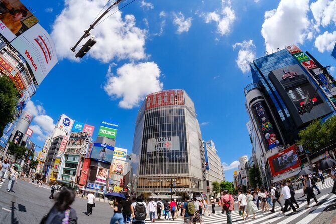 Tokyo: Shinjuku & Shibuya Walking Tour  City Highlights - Key Points