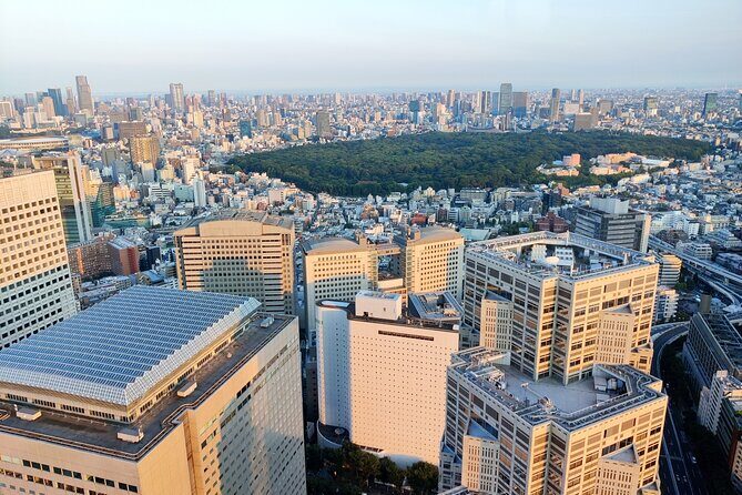 Tokyo: Shinjuku & Shibuya Walking Tour  City Highlights - Who Will Love This Tour?