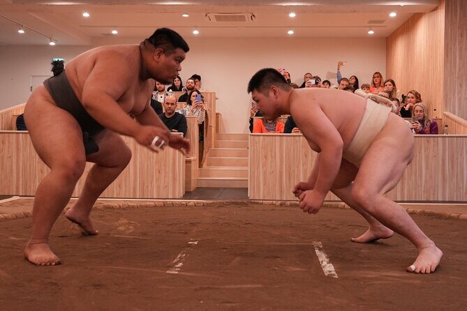 Tokyo Shinjuku Sumo Show and Experience with Drinks and Photo - The Sum Up