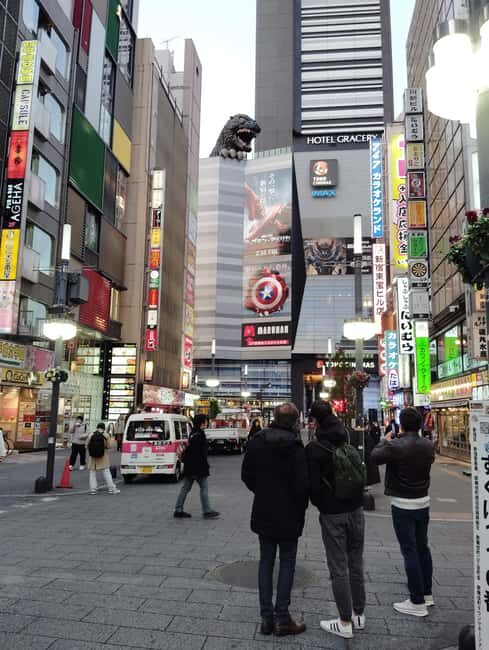 Tokyo: Shinjyuku & Shibuya 2-Hour City Tour - Key Points