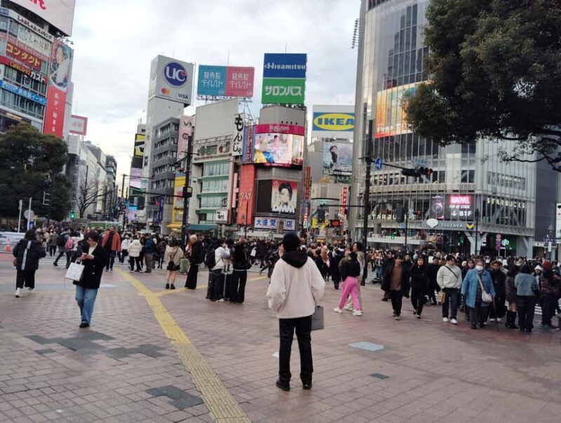 Tokyo: Shinjyuku & Shibuya 2-Hour City Tour - Who Should Consider This Tour?
