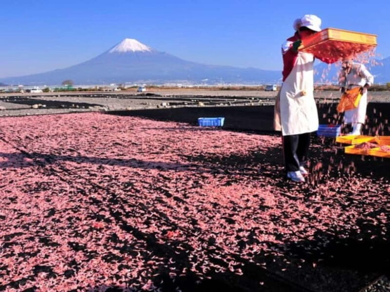 Tokyo: Shizuoka Day Trip with Kimono Photoshoot & Ukiyo-e - Examining the Value: Is the Price Justified?