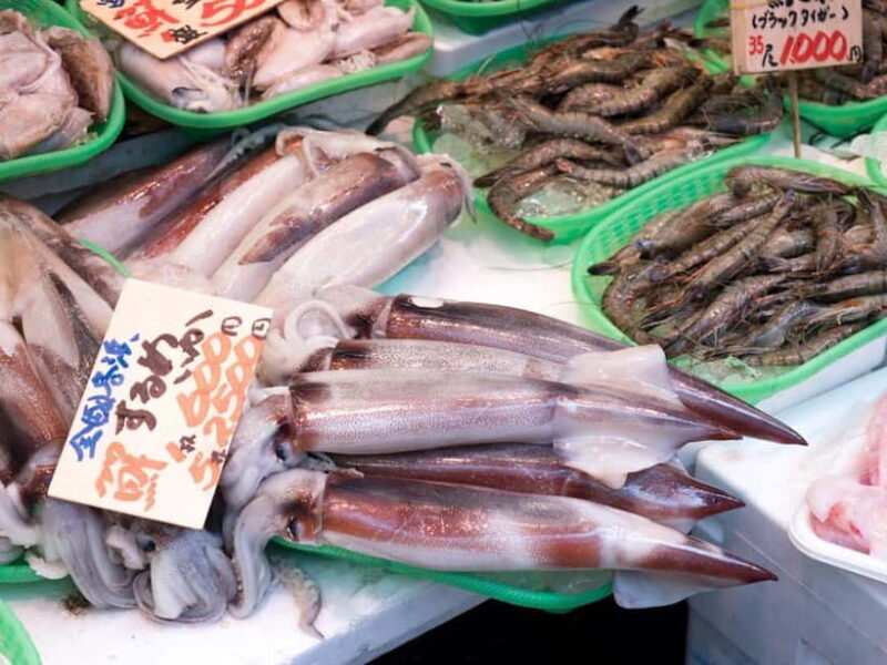 Tokyo Shopping Street Private Tour Government Licensed Guide - Who Will Benefit Most?