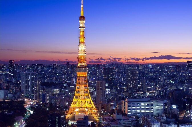 Tokyo Shore Excursion with a Local Guide, Private & Tailored to You - Key Points