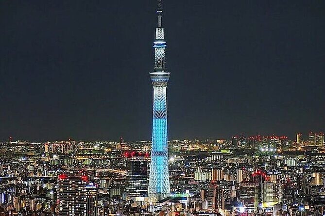 Tokyo Sightseeing/ City Tour by Private Car with English Guide - Key Points