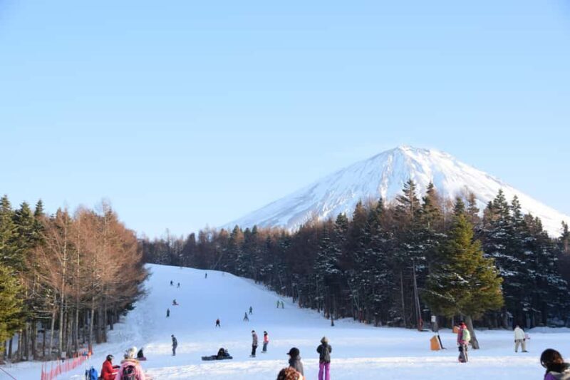 Tokyo: Ski or Snowboard Day Trip - What to Expect from the Tokyo Ski or Snowboard Day Trip