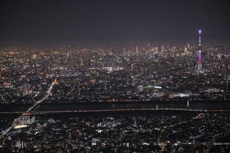 Tokyo: Skytree Course Aerial Tour - Pricing and Value