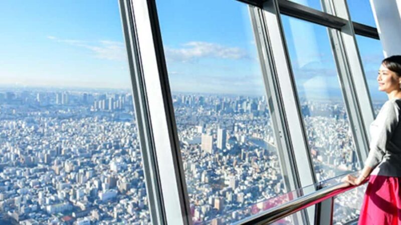 Tokyo: Skytree Guided Tour with Tembo Galleria Entry - The Experience in Detail