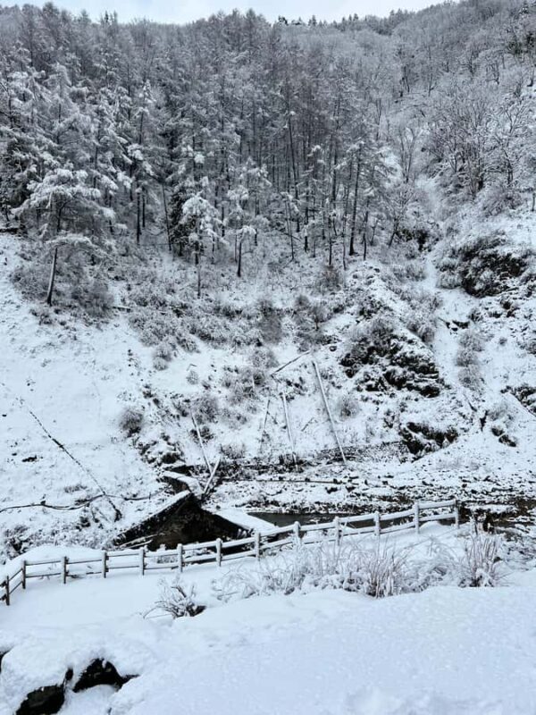 Tokyo: Snow Monkey & Nagano Customizable Private Day Tour - An In-Depth Look at the Tour