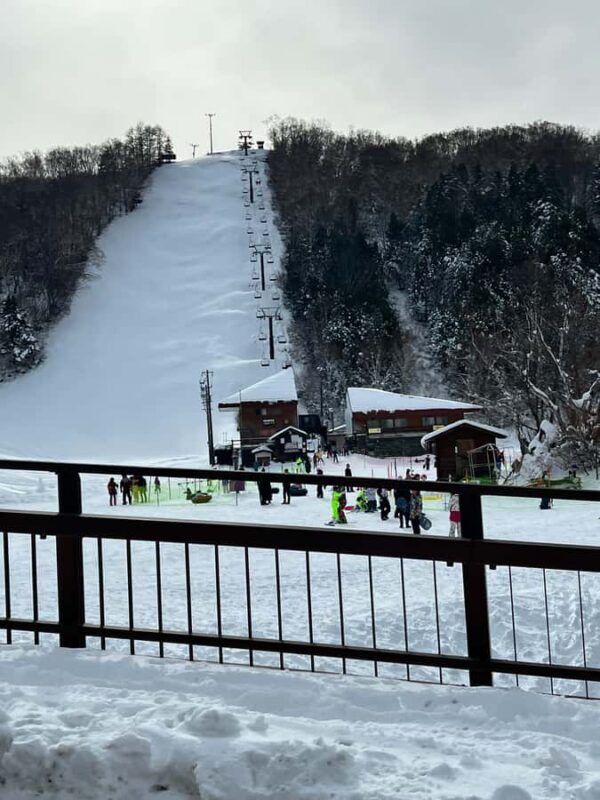 Tokyo: Snow Monkey & Nagano Customizable Private Day Tour - The Sum Up