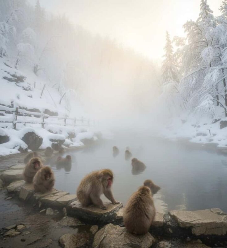 Tokyo: Snow Monkey Park & Nagano Highlights Private Trip - Key Points