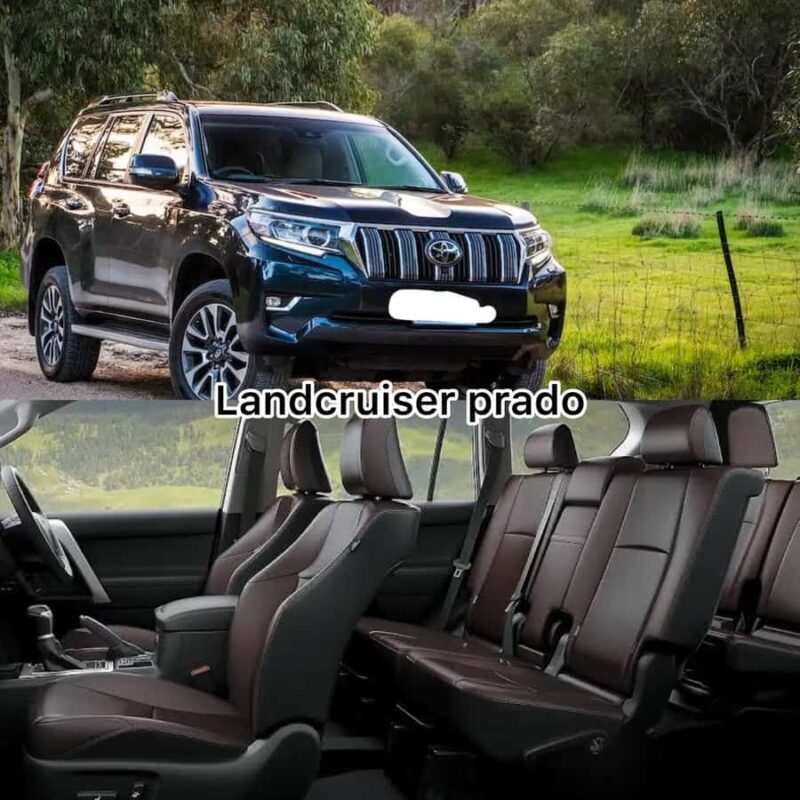 Tokyo: Snow Monkey Park & Nagano Highlights Private Trip - Practical Tips for Travelers