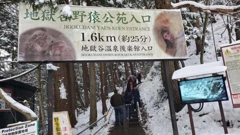 Tokyo: Snow Monkeys, Zenkoji Temple, & Obuse Day Trip - An In-Depth Look at the Tour
